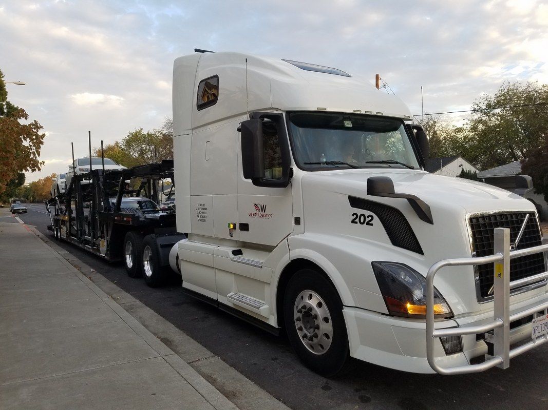 #1 Snowbird Car Tranport in US - ShipCar24